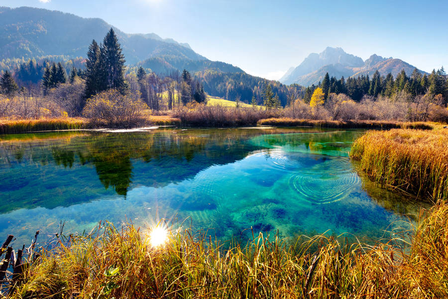 Aerial view of Bled Castle Jigsaw Puzzle (Countries, Slovenia) | Puzzle ...