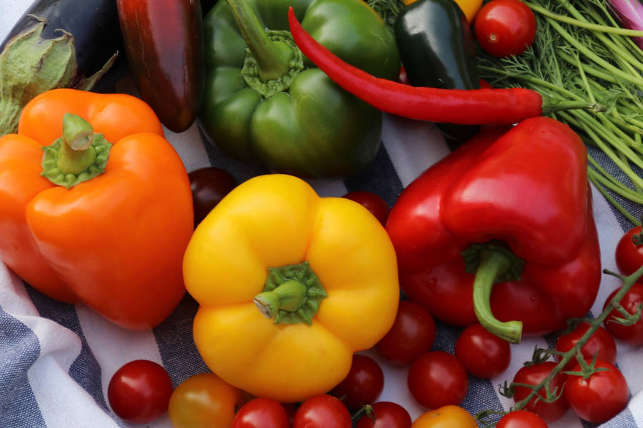 Corn Jigsaw Puzzle (Plants, Vegetables) | Puzzle Garage